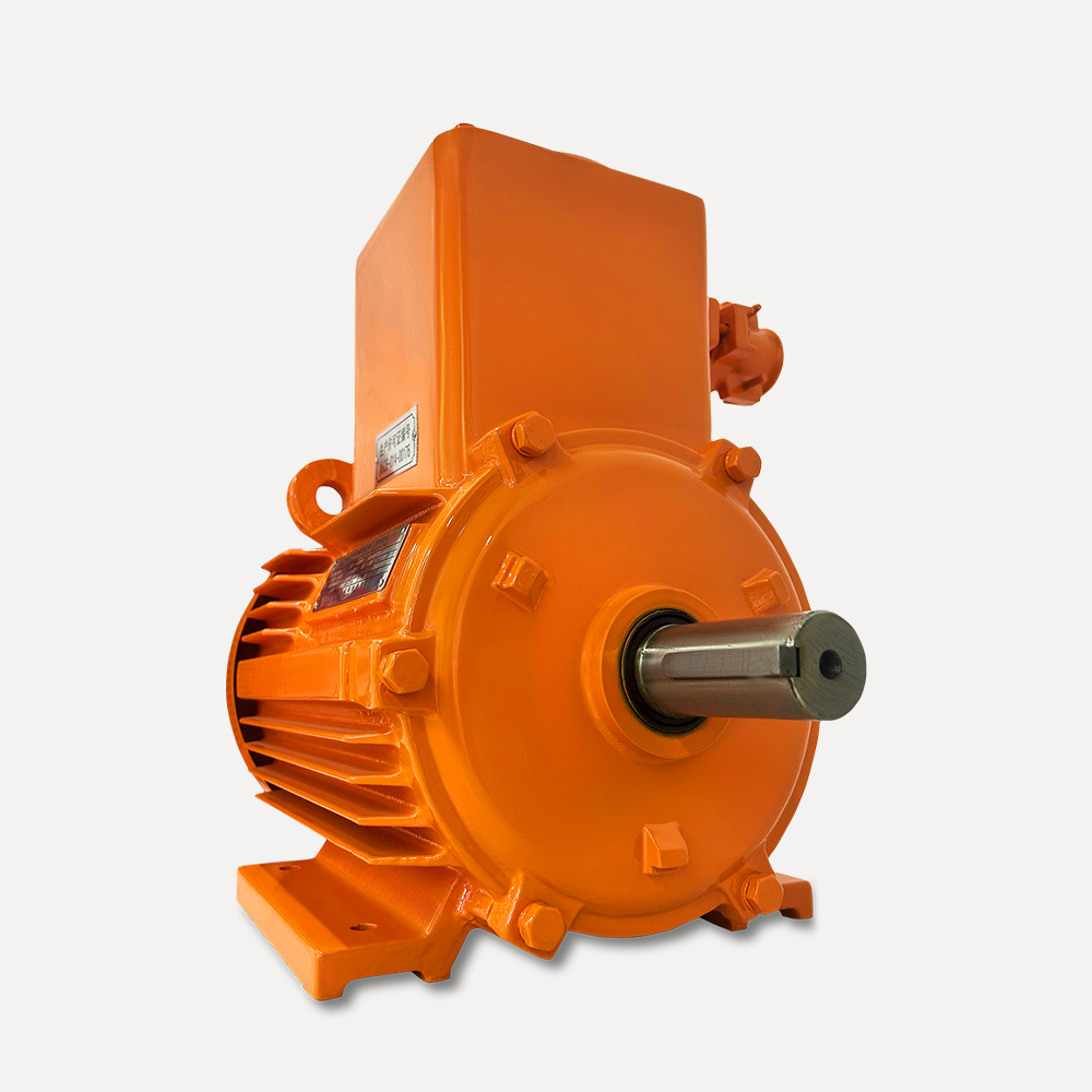 Flameproof Motors - ABM