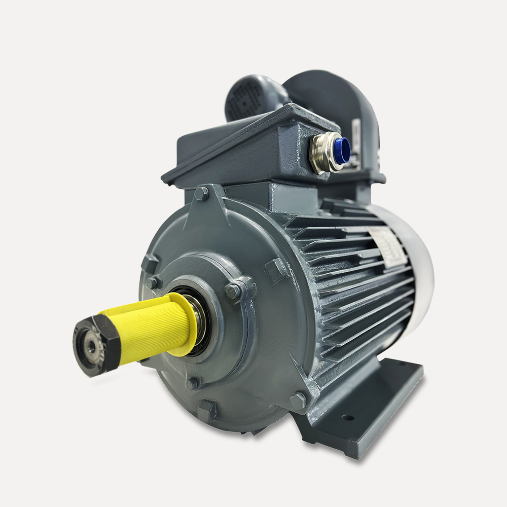 MD Series Multi-Speed Motors - ABM