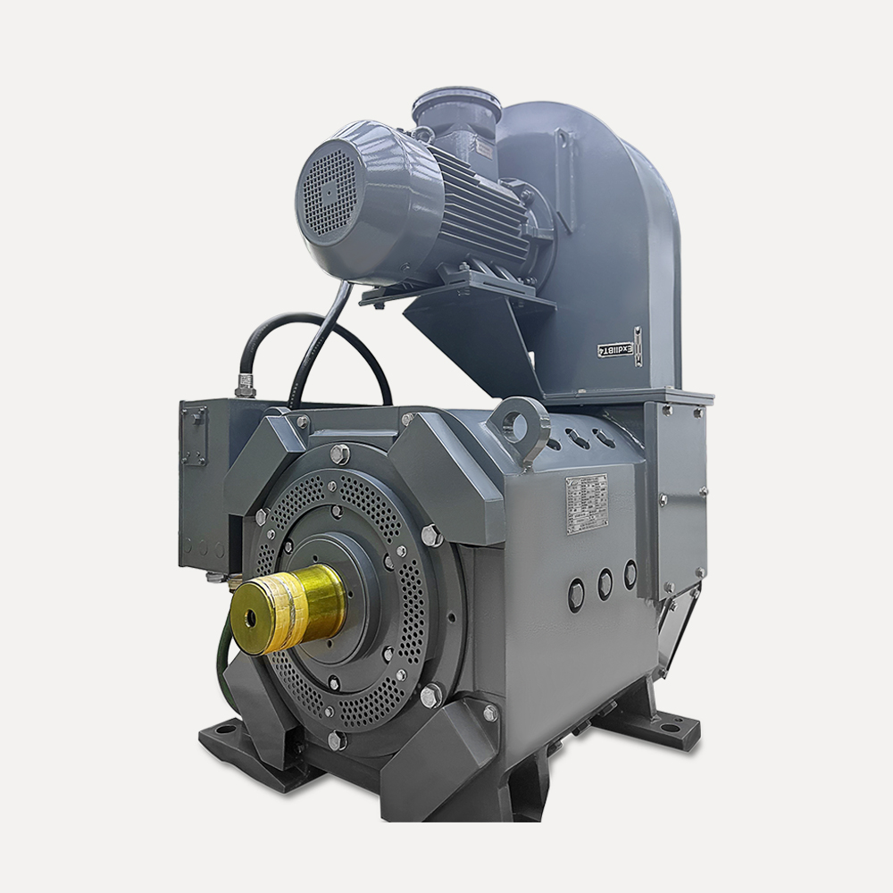 Medium Voltage Motors - ABM