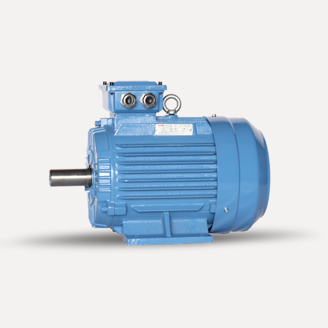 CIE Series Cast iron Frame Motors - ABM
