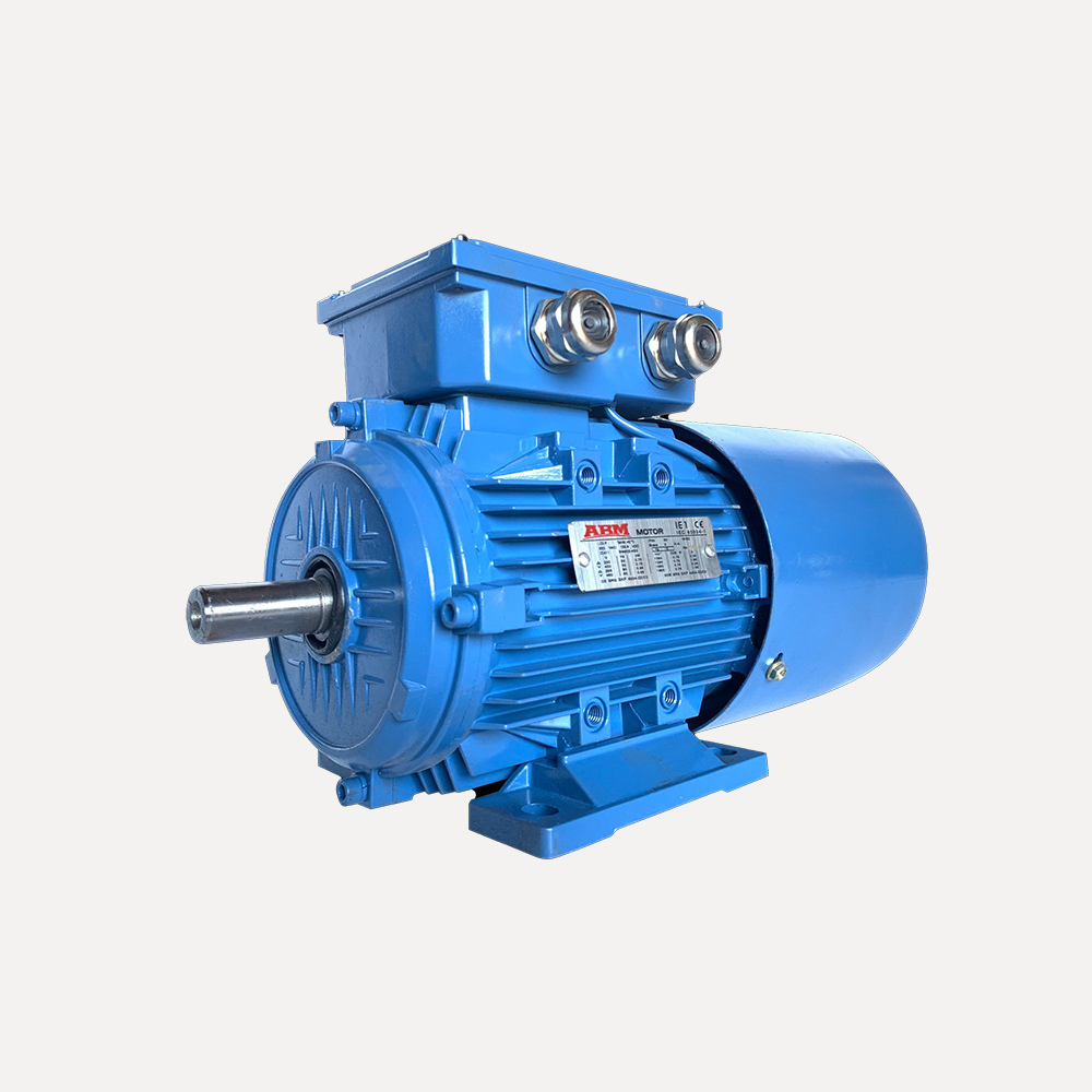 BM Series Brake Motors - ABM